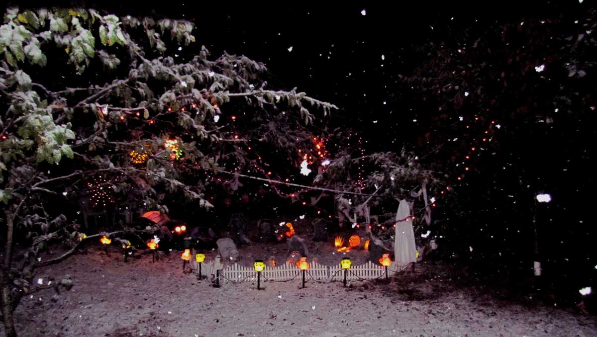 Photos: The Halloween snowstorm - Snowtober 2011