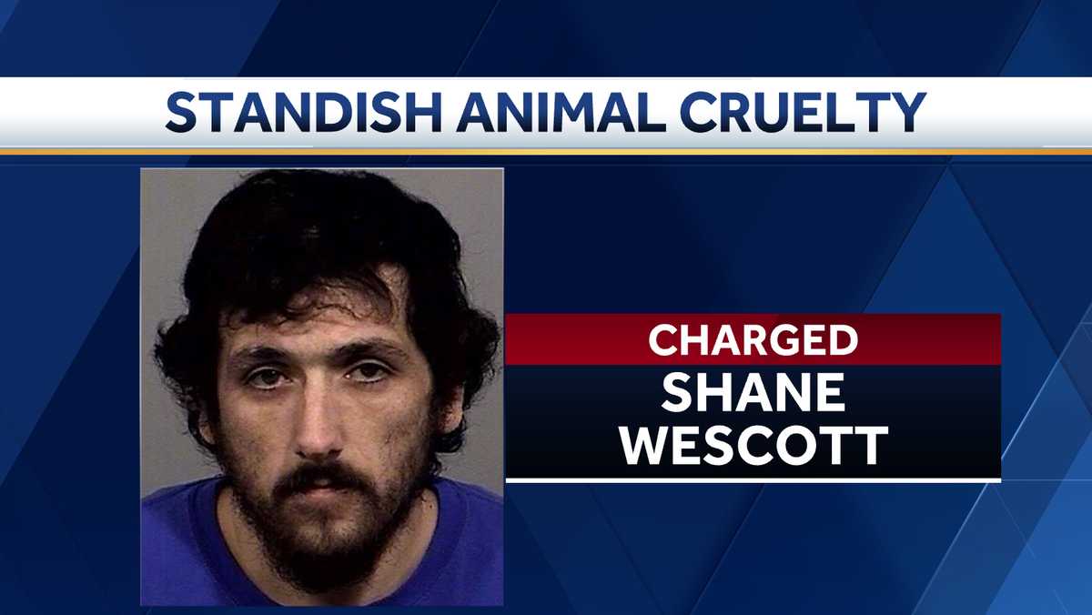 FOUND: Suspect in Standish animal cruelty incident now faces charges