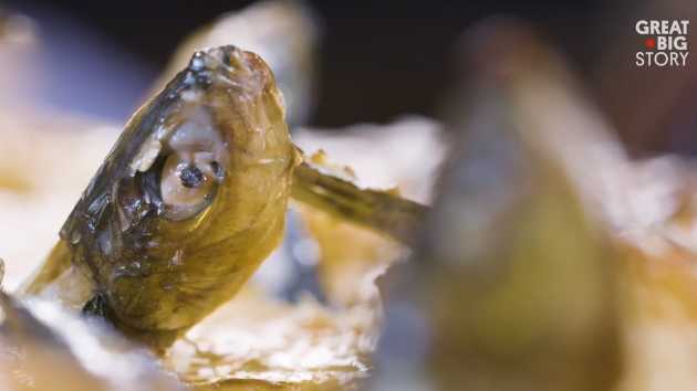 The Pie That Stares Right Back