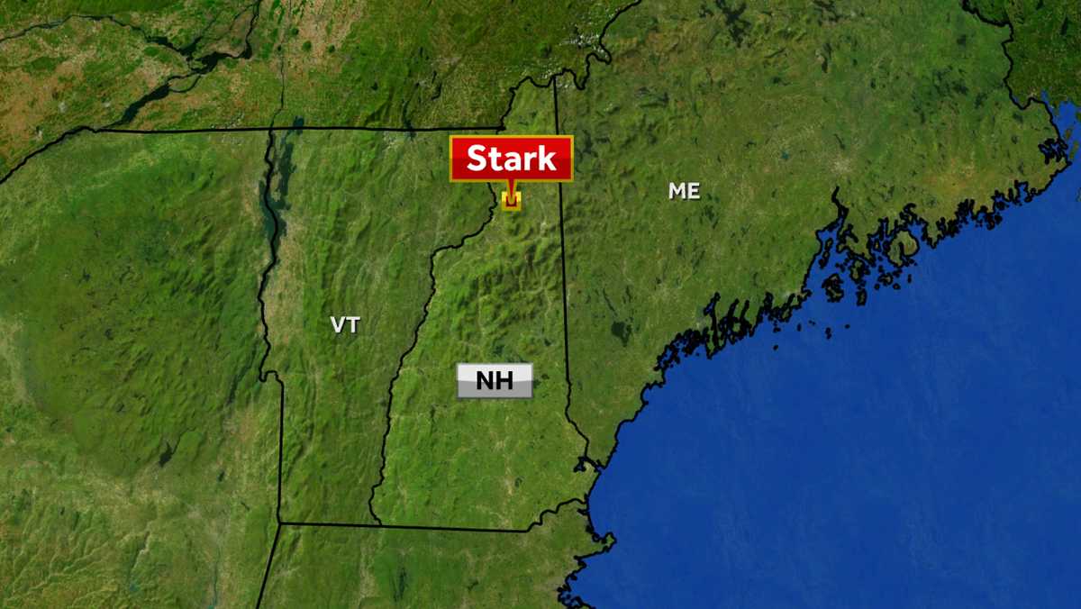Child airlifted to hospital after dog attack in Stark, officials say