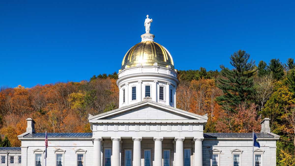 Vermont State House primaries 2022: See results