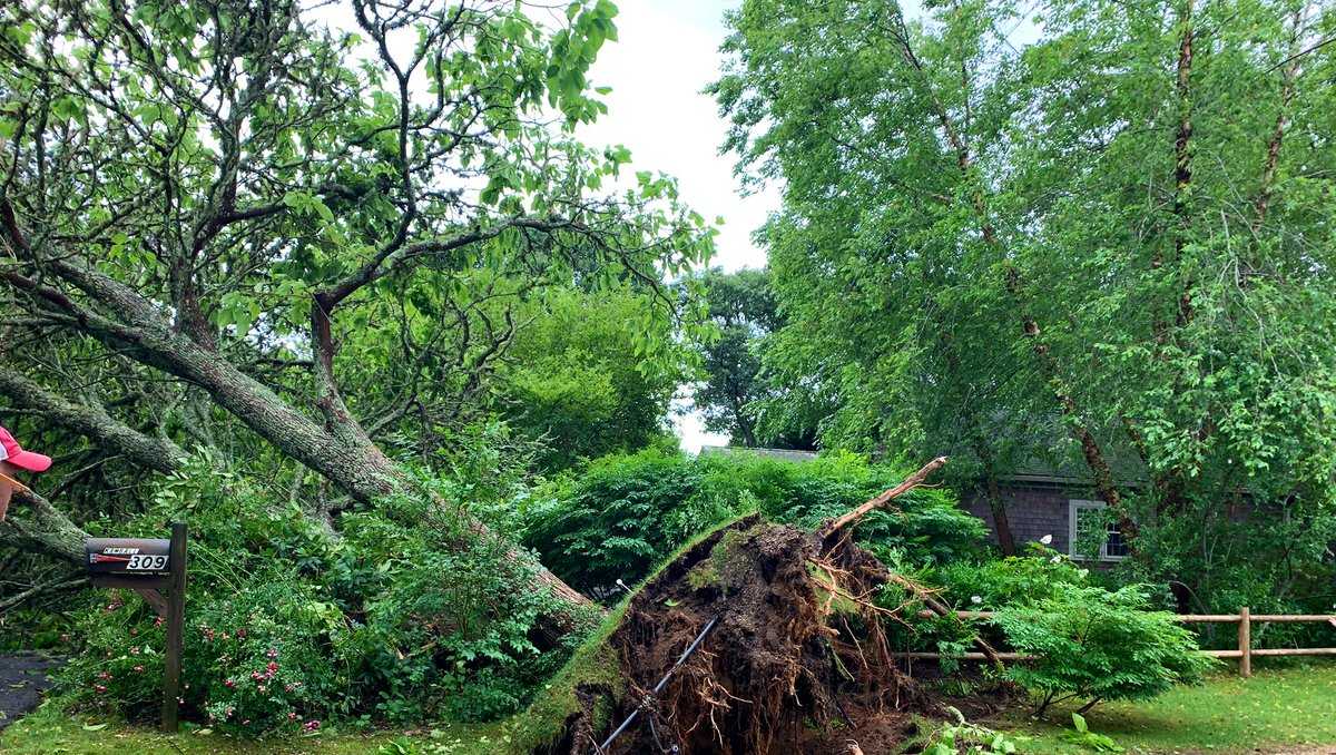 Photos: Tornadoes, severe storms tear through Cape Cod