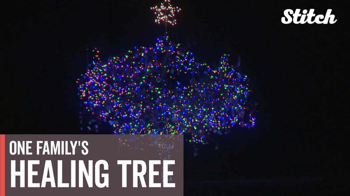 Family's healing tree gets national attention