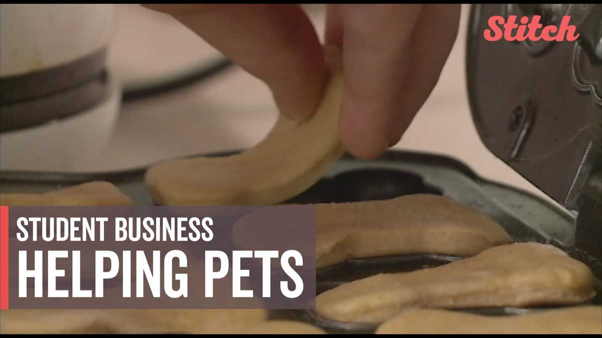 Student business helps develop skills, bring SPCA donations