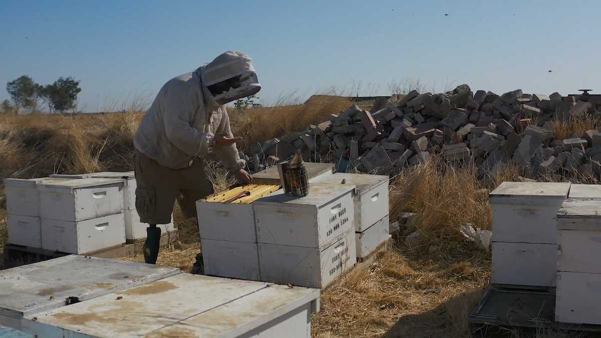 'It’s about having a purpose': Veteran finds new mission in life with ...