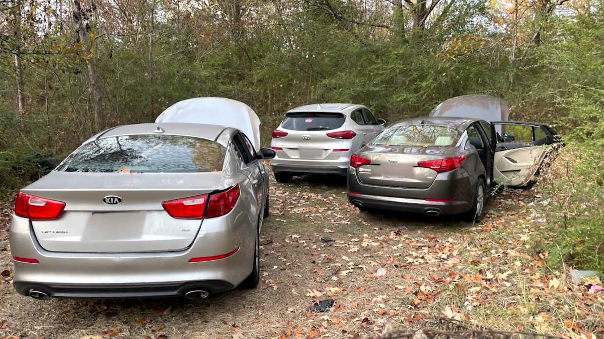 Chief blames increase in auto thefts on ‘soft target’ Kia and Hyundai ...