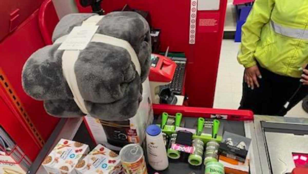 Sacramento deputies arrest, cite almost 100 in retail theft bust