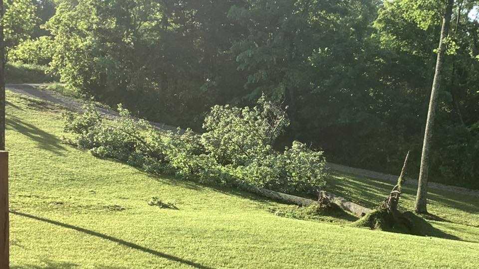 PHOTOS: Storm damage from across Louisville and surrounding areas