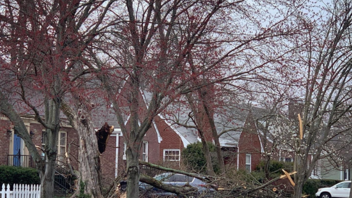 SLIDESHOW: Storm damage from Kentucky