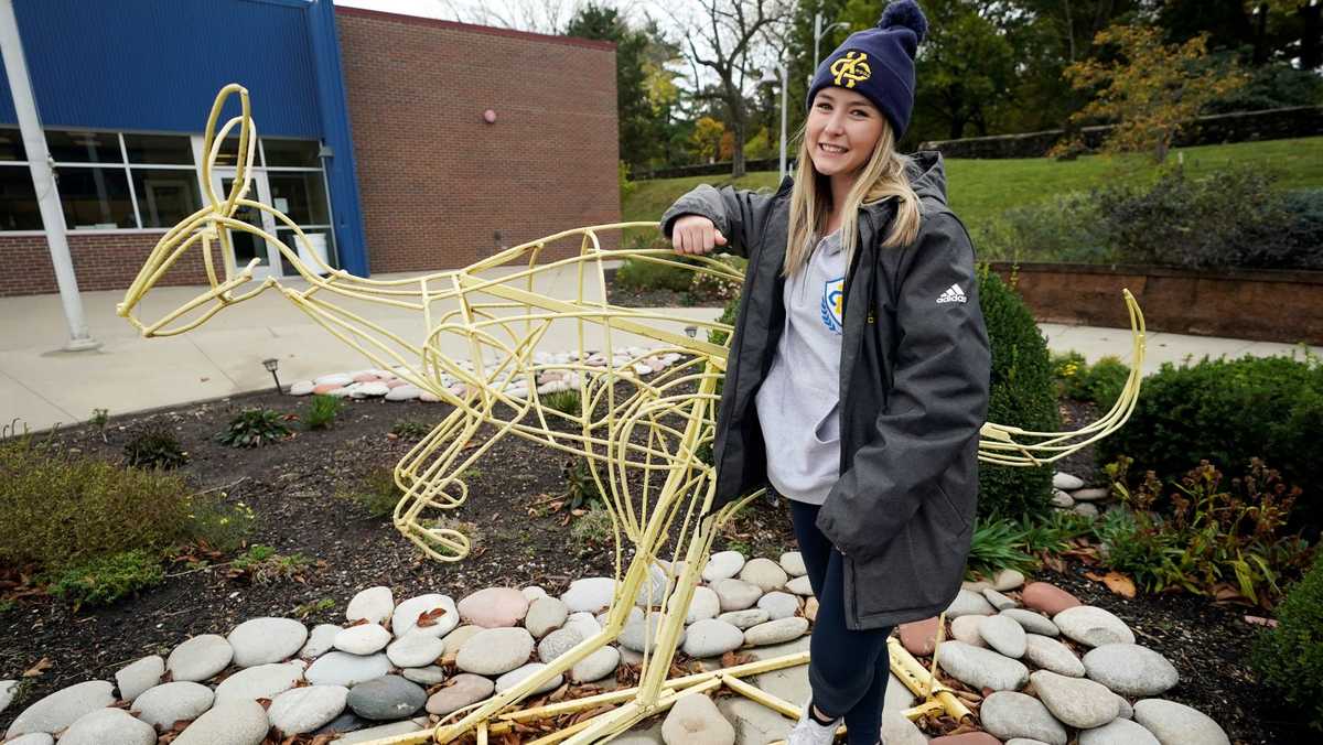 Stressed freshmen missing quintessential college experience