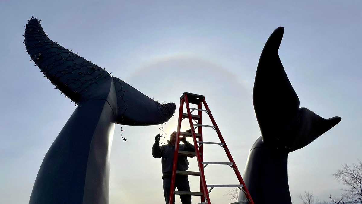 Meet the man who decorates the 'Whales Tails' for the holidays