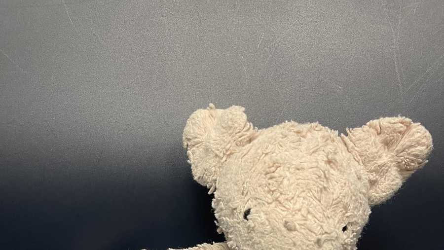 Stuffed animal left behind on a plane at GSP reunited with owner