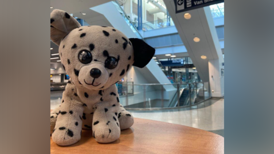 CVG officials locate owner of stuffed animal left behind at airport