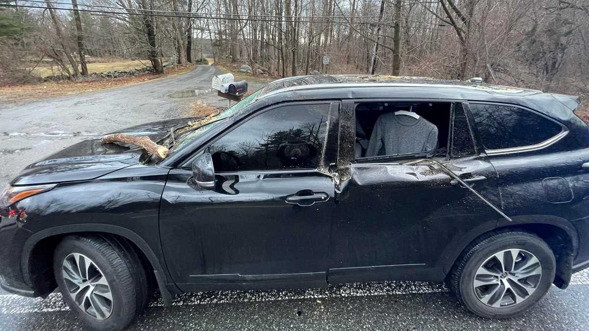 Tree falls on car, blocks busy road during stormy morning commute
