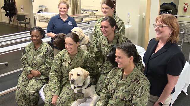 Facility dogs help service members during rehabilitation at Walter Reed
