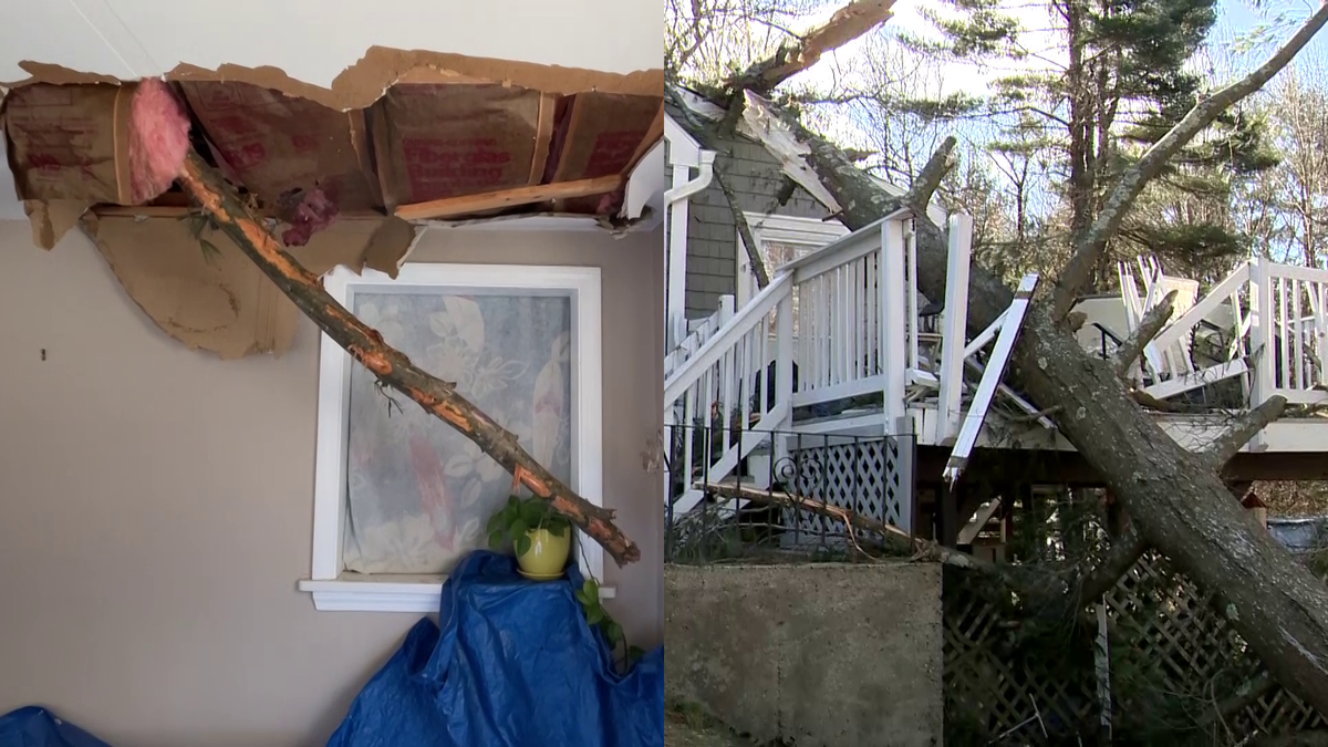 Tree crushes porch, spears through roof of home during storm