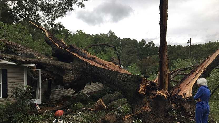 Photos: Hurricane Irma blunders Georgia, South Carolina