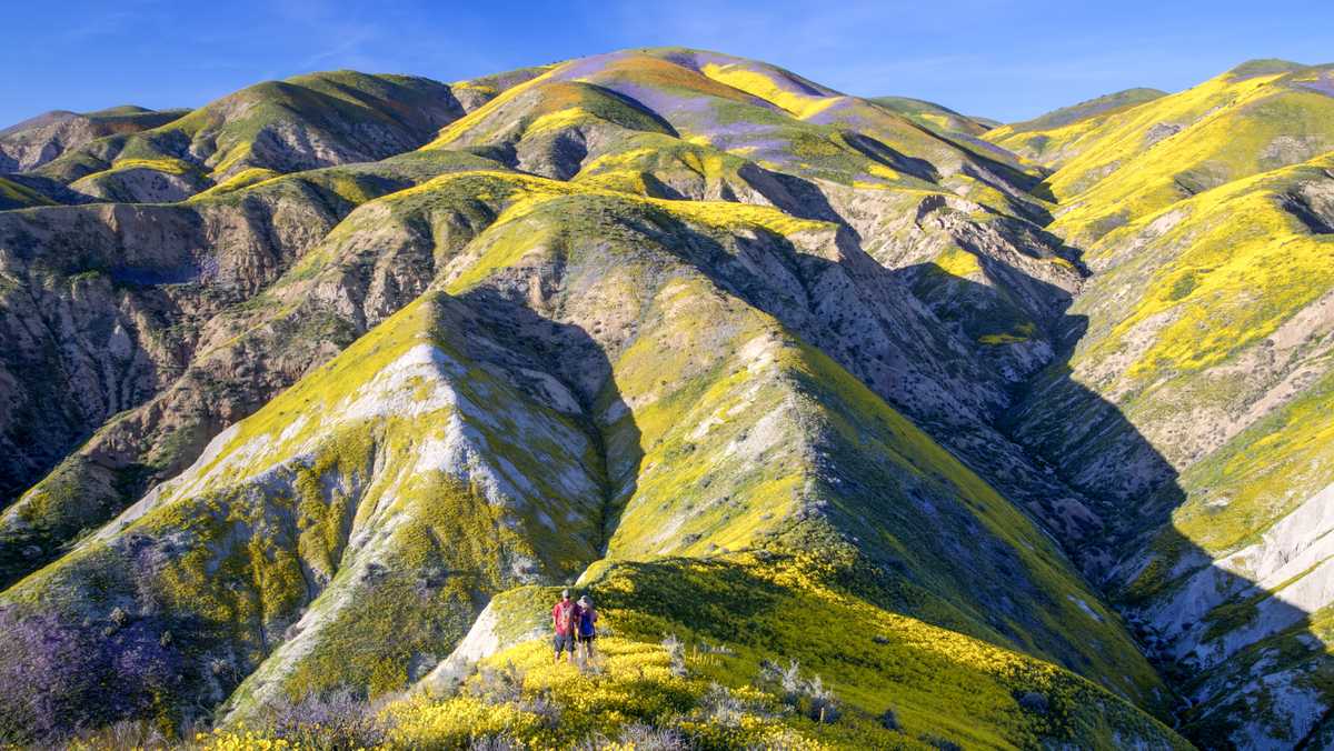 5 California national monuments are among 27 up for axing