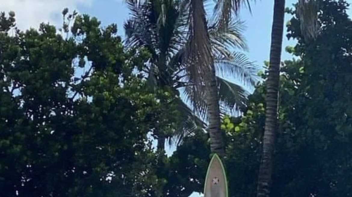 Florida surfer says there is more to the story after his surfboard was ...