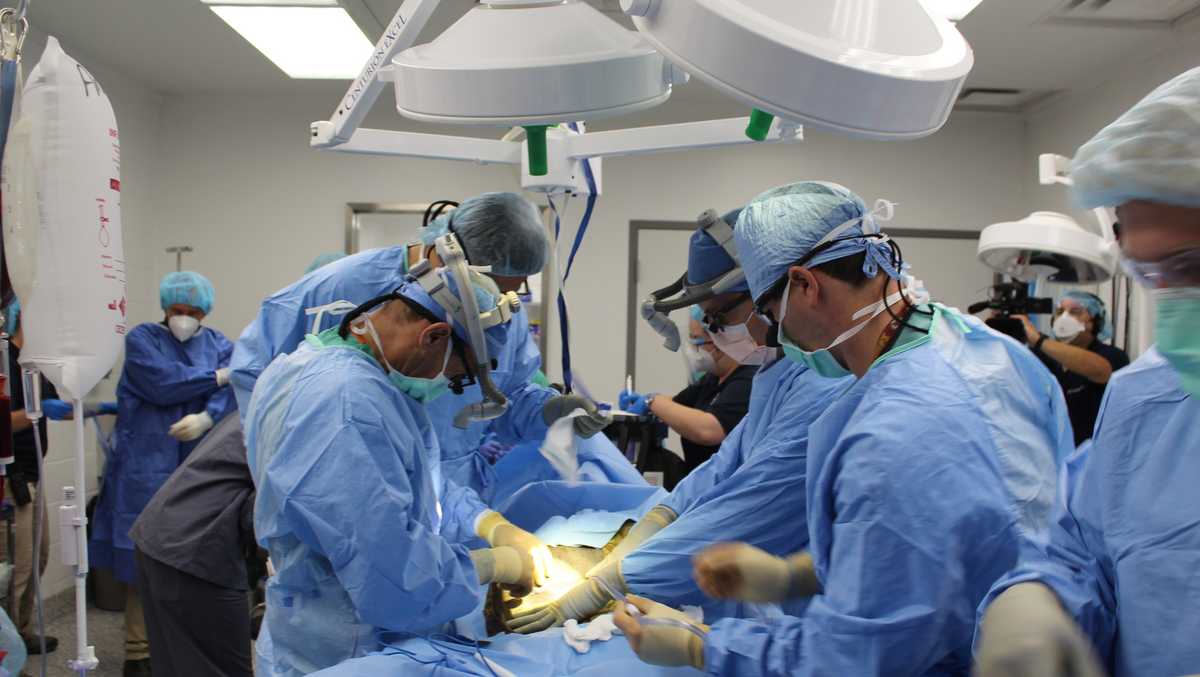 KU Health System doctor talks about performing surgery last year on ...