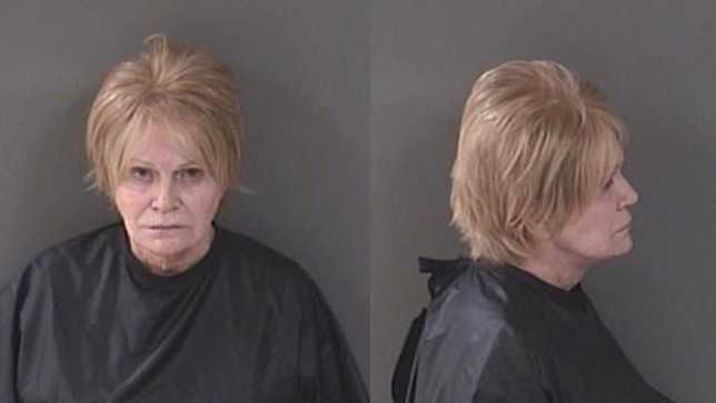 Woman charged with DUI after driving into couple at a Vero Beach parade