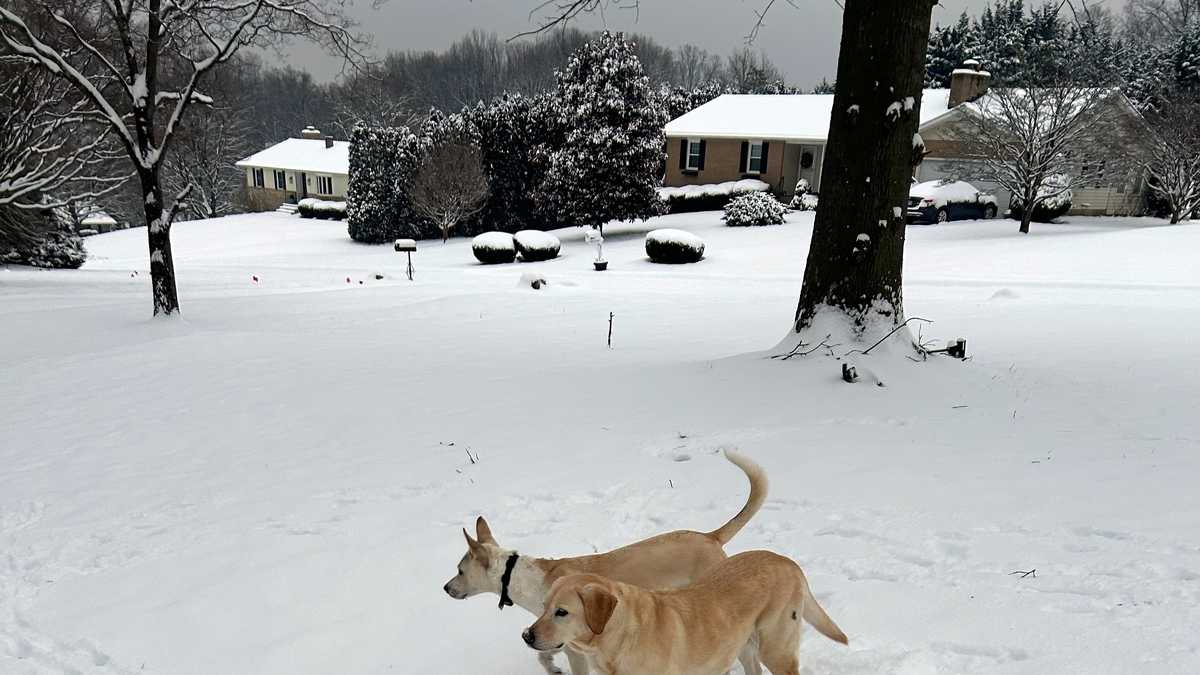 See Baltimore's first snow in 716 days in photos