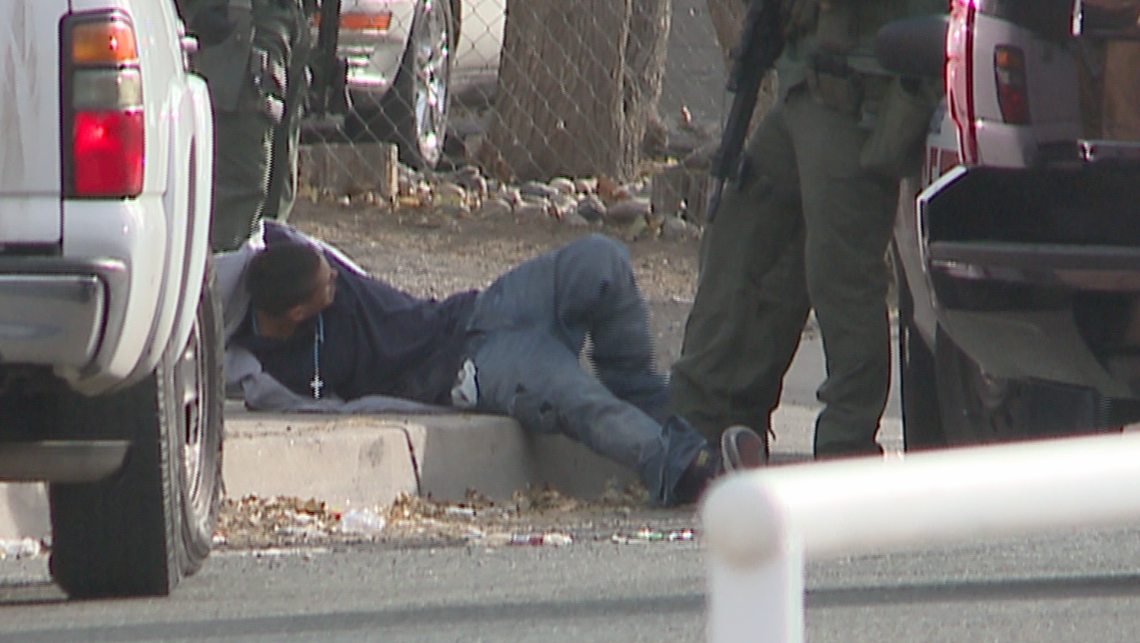 Police take auto theft suspect into custody