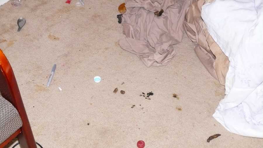 Children found living in filthy conditions