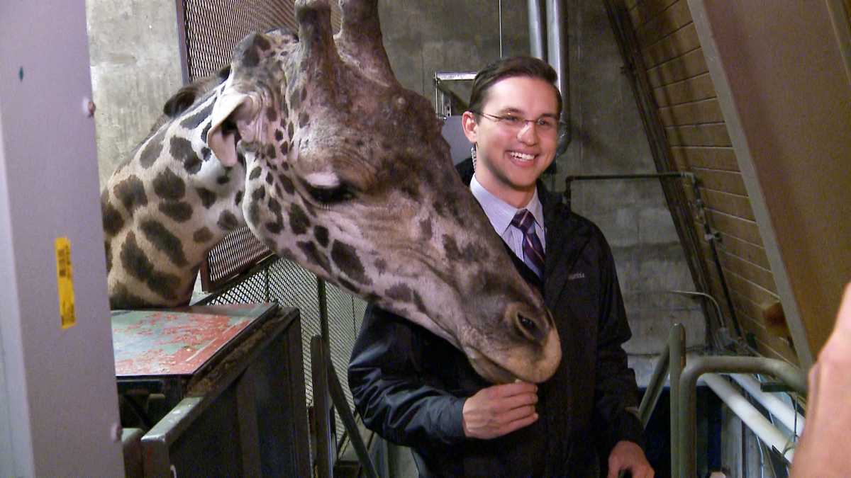 Meteorologist Chris Swaim feeds giraffe on 12 News This Morning
