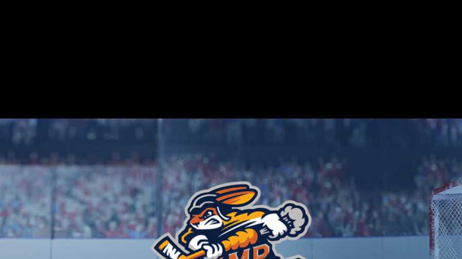 Swamp Rabbits announce game and promotional date changes