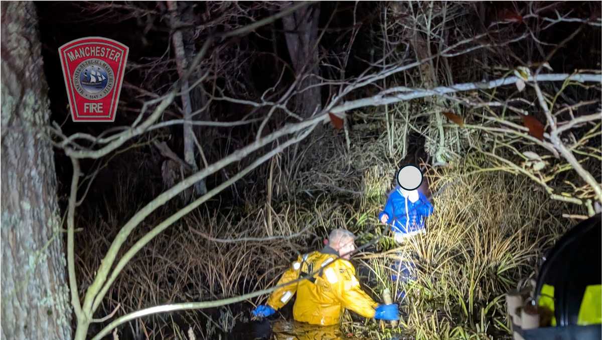 Person rescued after getting stuck in North Shore swamp