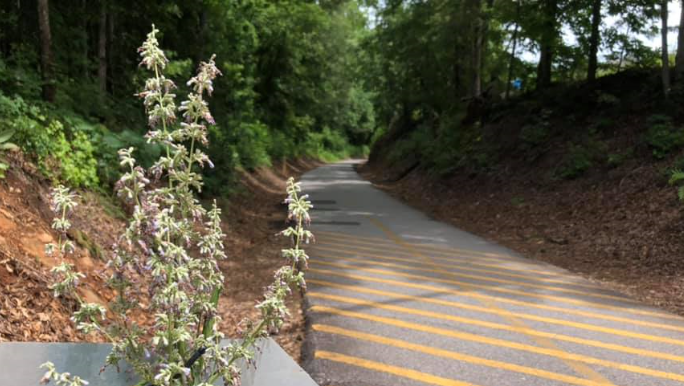 Swamp Rabbit Trail users wonder if crosswalks could be safer, following ...