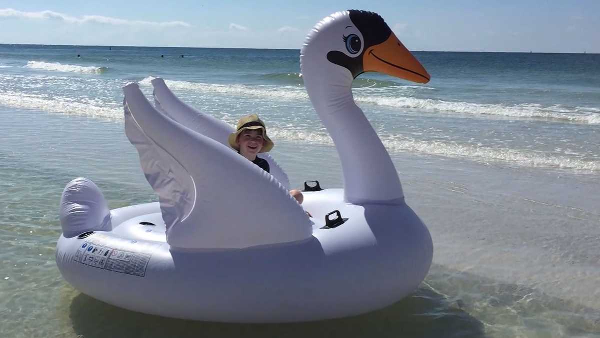 Woman and 7-year-old son drift miles away from shore on inflatable swan