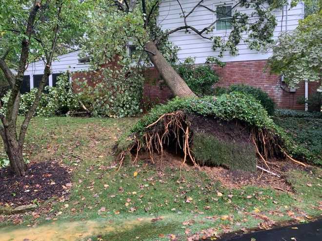 Tree falls into house, creates massive hole in roof in Sycamore Township
