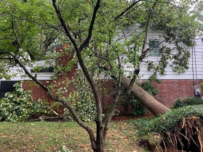 Tree falls into house, creates massive hole in roof in Sycamore Township