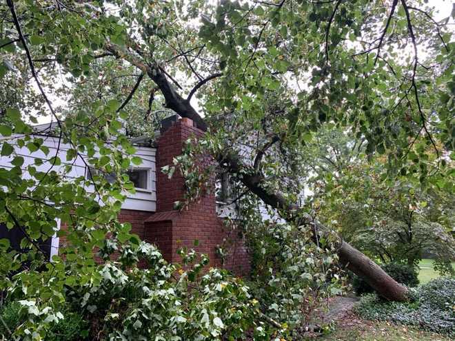 Tree falls into house, creates massive hole in roof in Sycamore Township