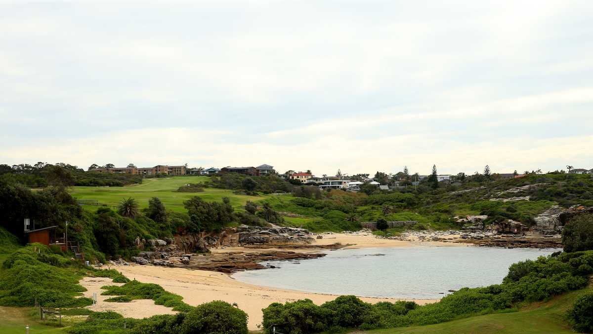 Swimmer dies after being bitten by shark at Sydney beach