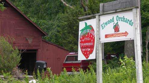 Viewers' Choice 2016: Best corn maze in New Hampshire