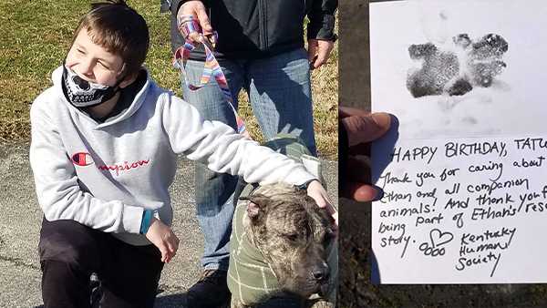 Ethan the dog reunites with 11-year-old who helped save his life