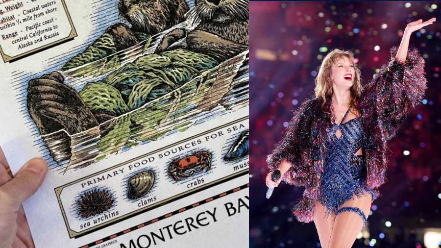 Monterey Bay Aquarium reissues Taylor Swift-worn otter tee; donations ...