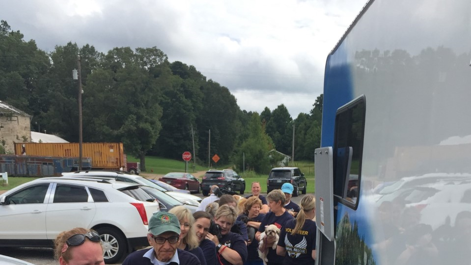 Group returns with more than 30 rescued dogs