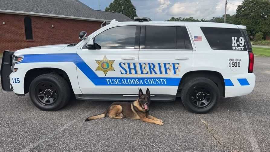 Drones and K-9 track down suspect in Tuscaloosa County woods