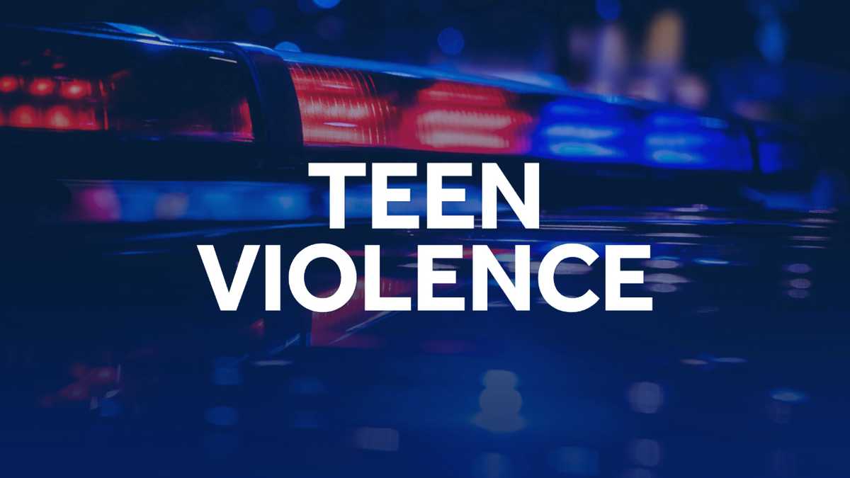 Mental health experts share warning amid violence involving teens