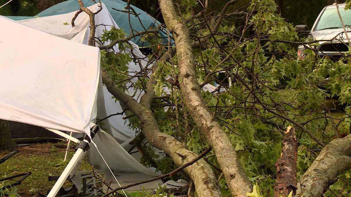 Three family members rushed to hospital after part of tree falls on ...