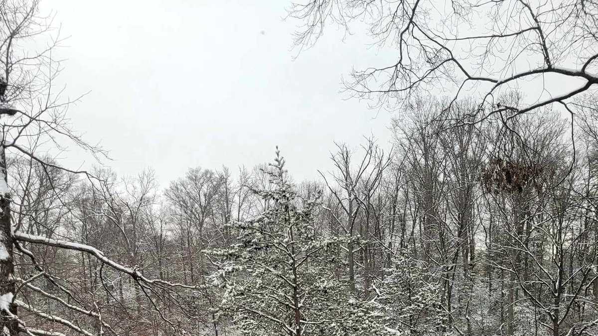 See Baltimore's first snow in 716 days in photos