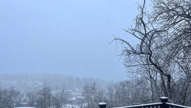 PHOTOS: Here's what snow looked like across Greater Cincinnati Friday