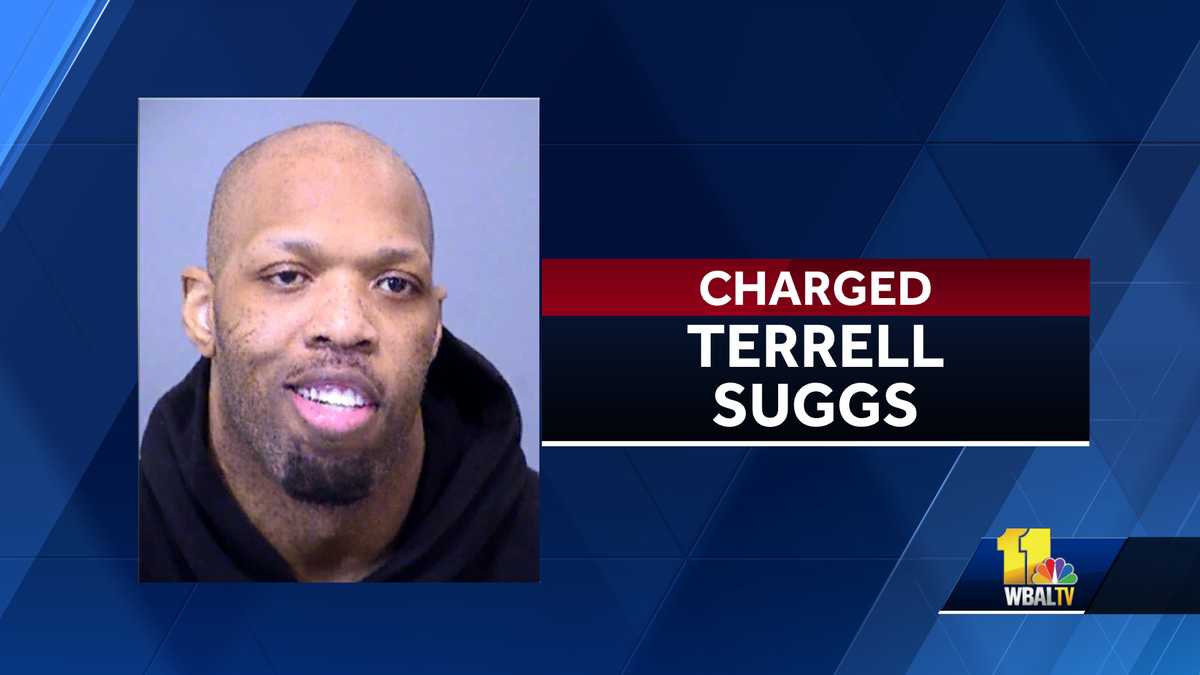 Police: Former Raven Terrell Suggs facing charges in Arizona