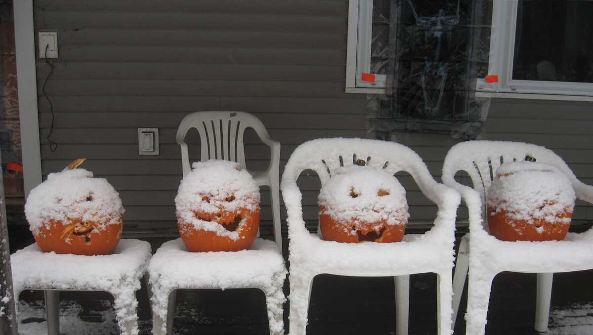 Photos: The Halloween snowstorm - Snowtober 2011
