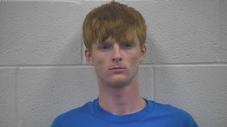 Erlanger 19-year-old pleads guilty in beating death of his grandmother