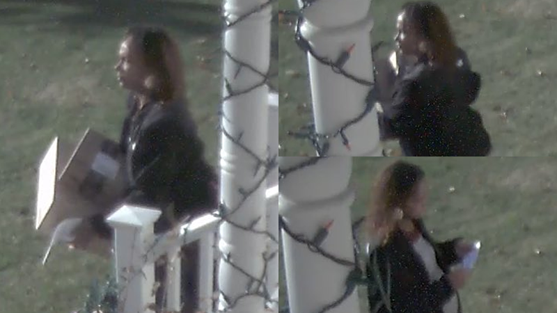 Woman Caught On Camera Stealing Boxes From Doorstep Police Said